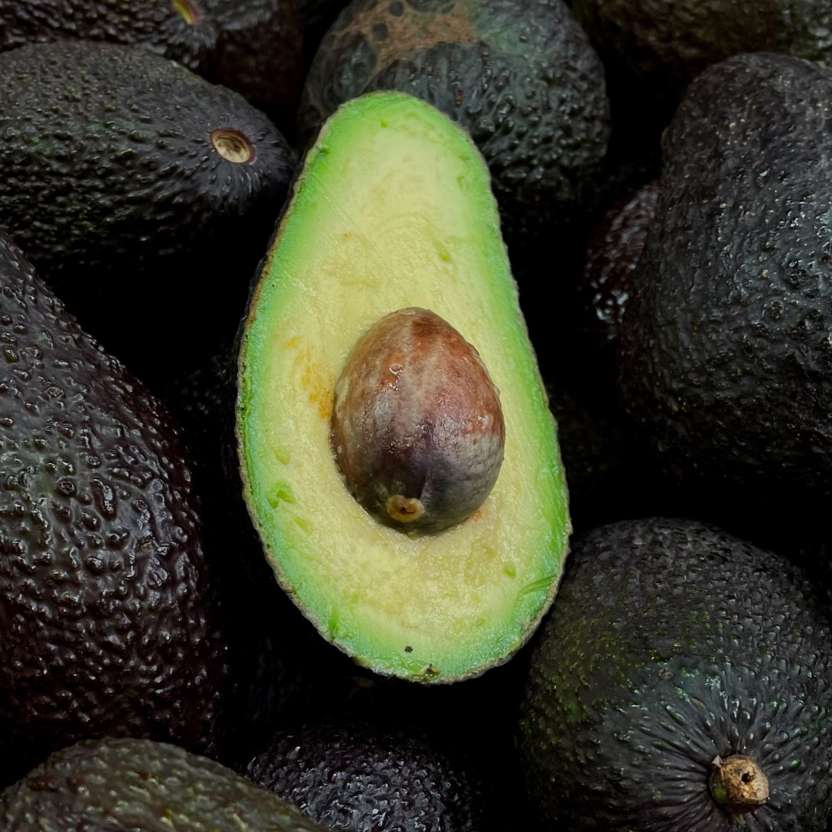 Palta Hass convencional x unidad